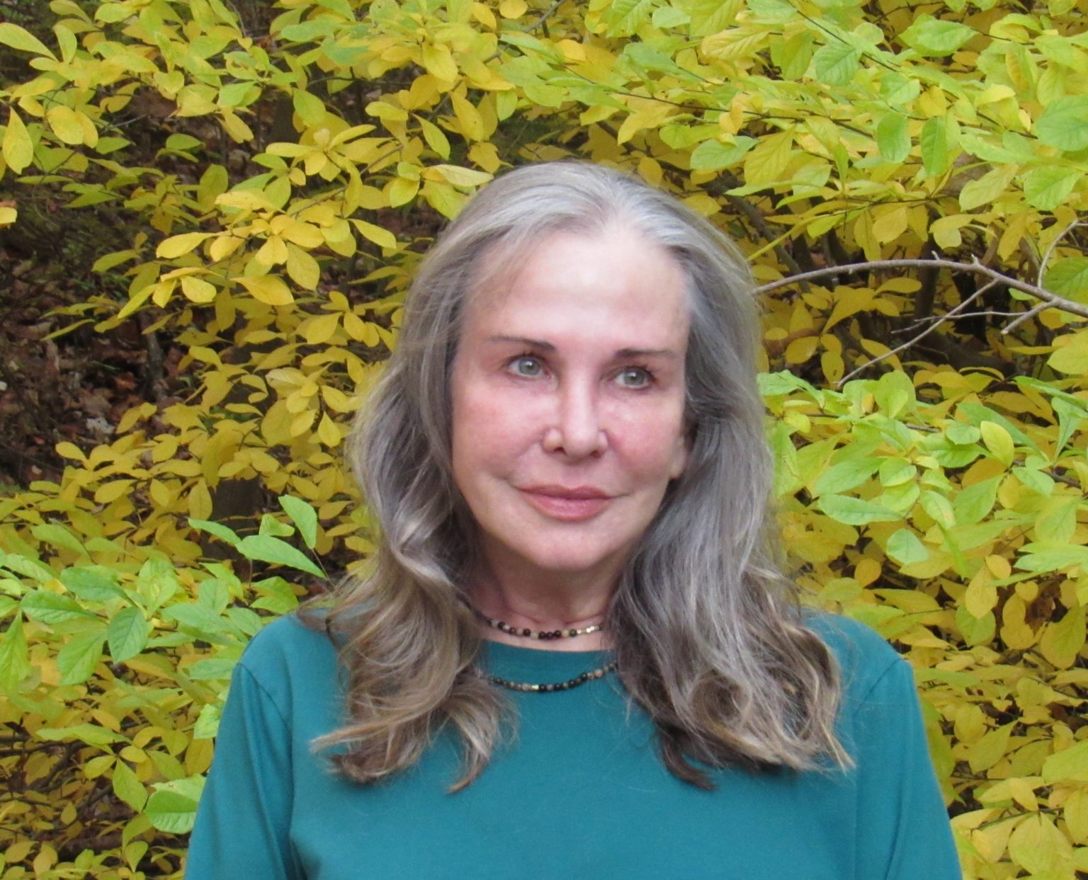 Everything is Strange by Ann Christine Tabaka - Altered Reality ...